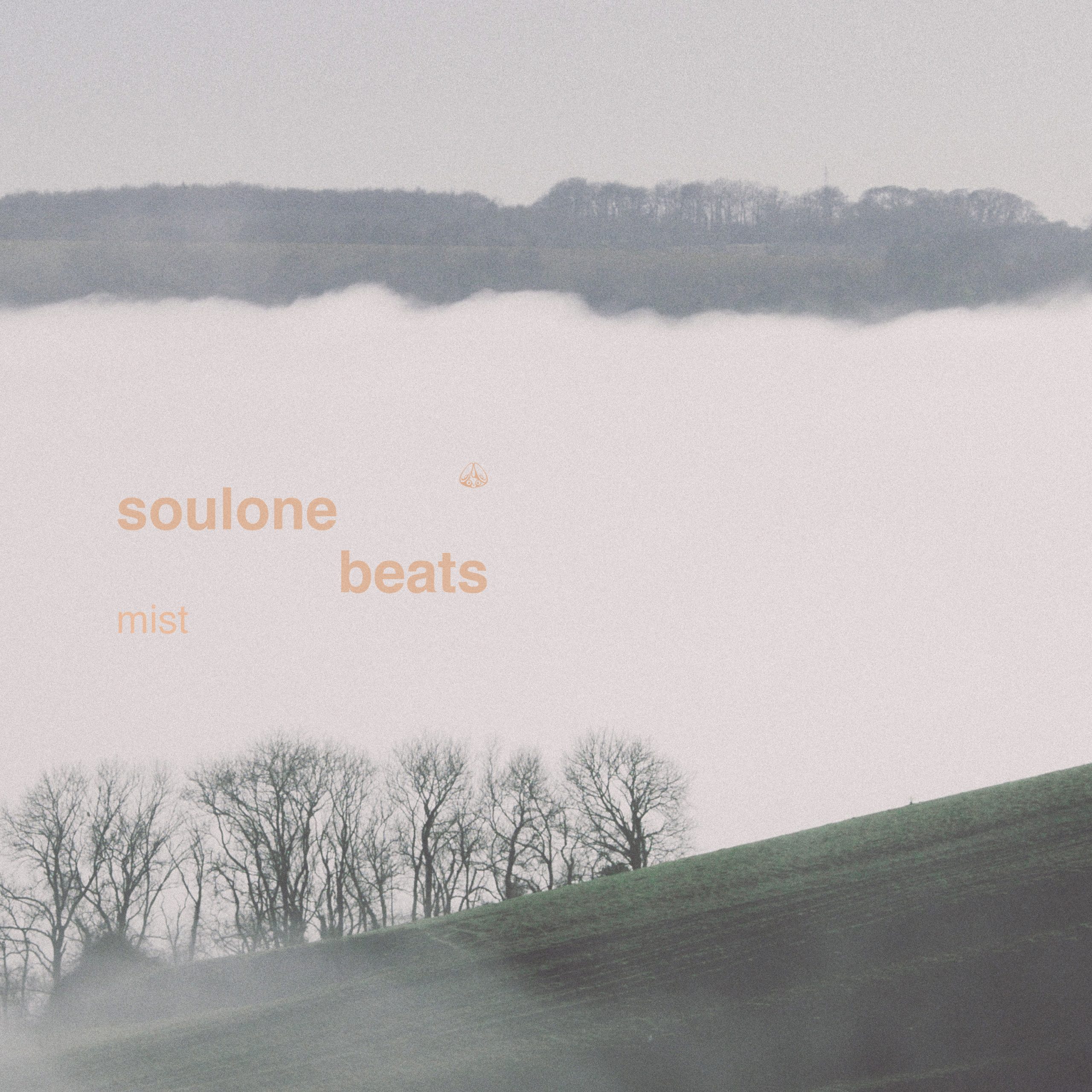 Mist | Stereofox Records